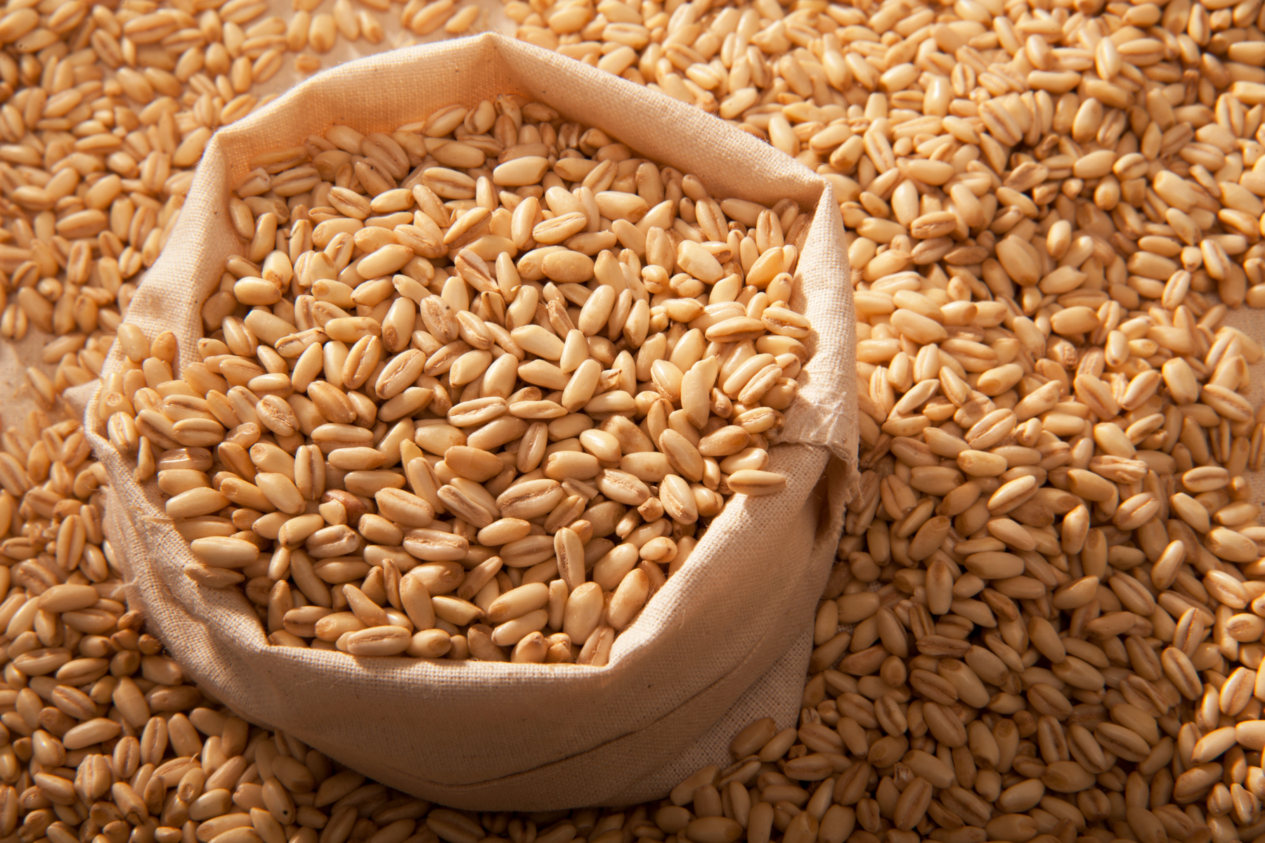 The Benefits of Spelt Grain and Flour
