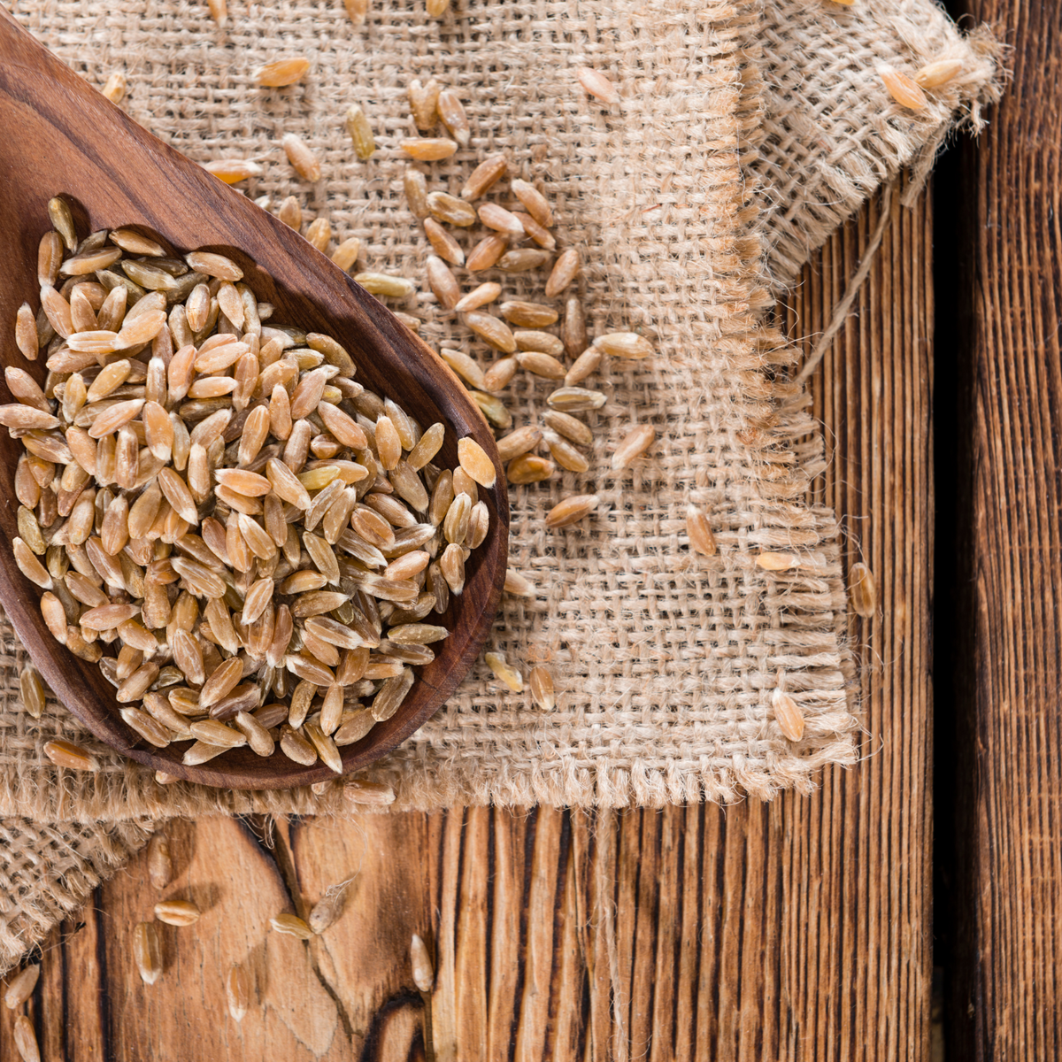 is spelt bread better for you