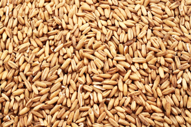 Understanding the Four Main Types Of Wheat